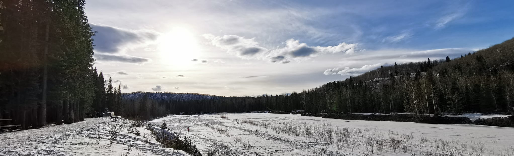 Alder Trail, Alberta, Canada - 368 Reviews, Map | AllTrails