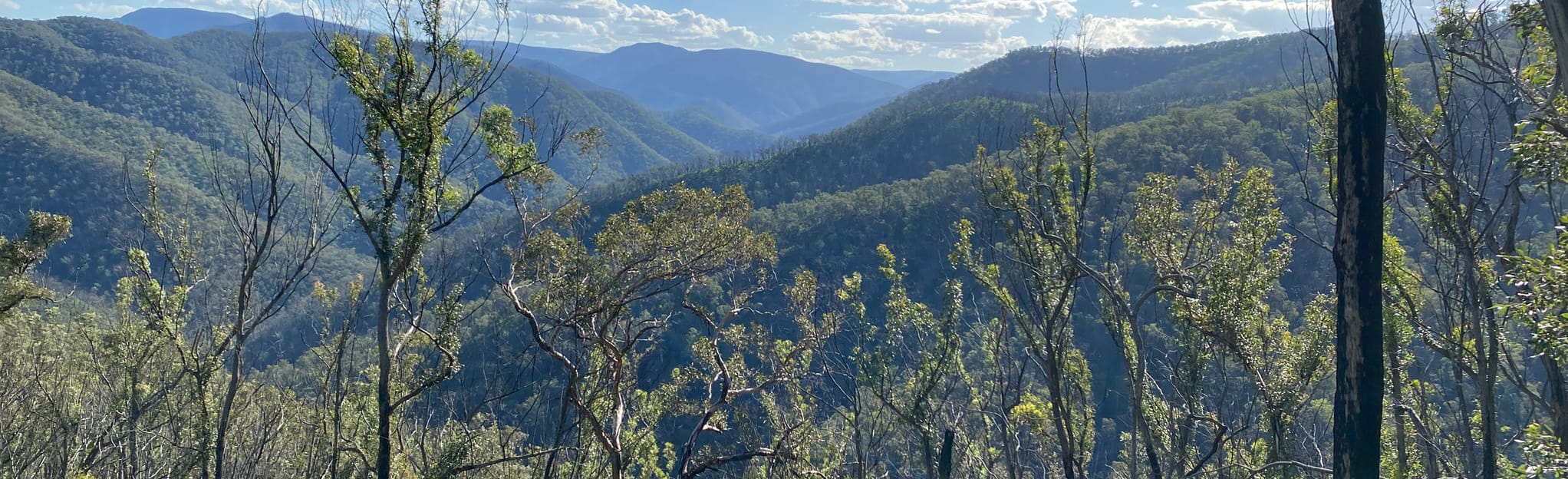 Frying Pan Flat via Bellbird Ridge and Carlons Creek, New South Wales ...
