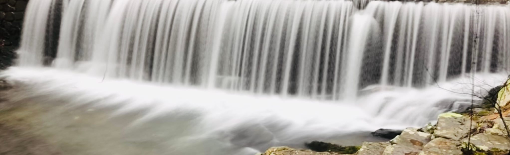 Bard Springs, Arkansas - 23 Reviews, Map | AllTrails