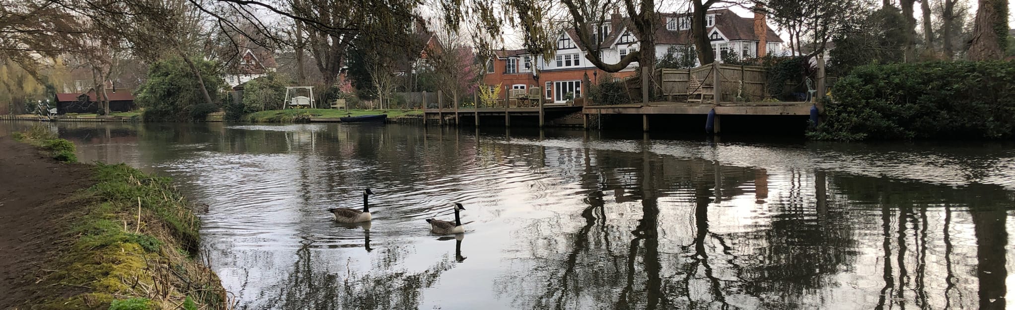 River Wey, Chertsey Meads and Addlestone Circular, Surrey, England - 4 ...