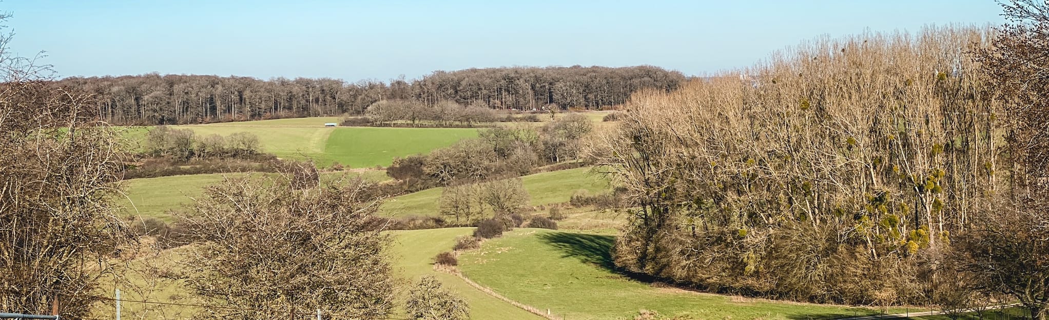 Dippach Loop: 44 Reviews, Map - Capellen, Luxembourg | AllTrails