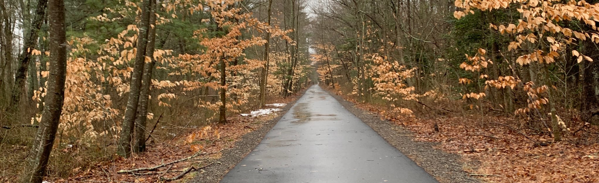 Colby Philips Trail via Hanover Greenway: 212 Reviews, Map ...