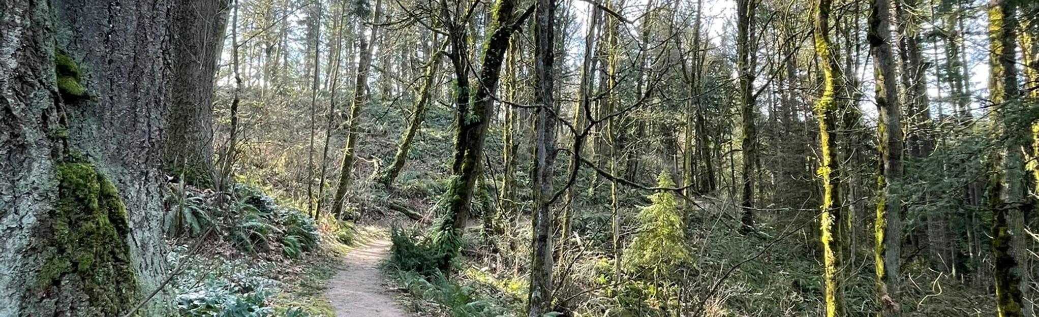 Wildwood and Ridge Trail Loop | Map, Guide - Oregon | AllTrails