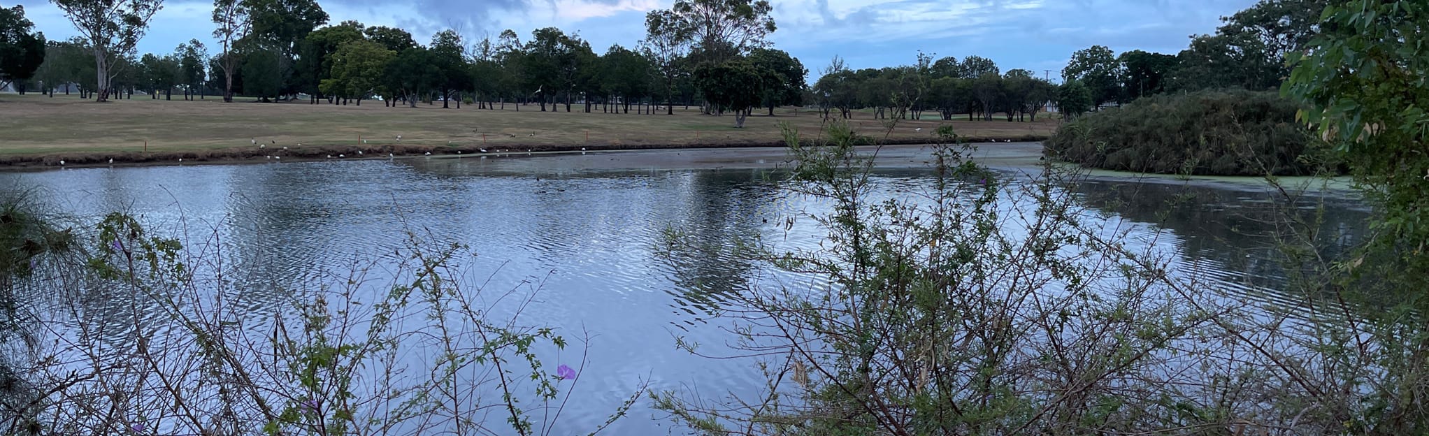 Anzac Park Circuit , Queensland, Australia - 27 Reviews, Map | AllTrails