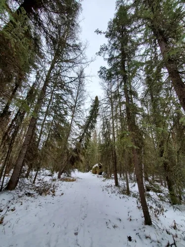 Best Hikes and Trails in Onoway | AllTrails