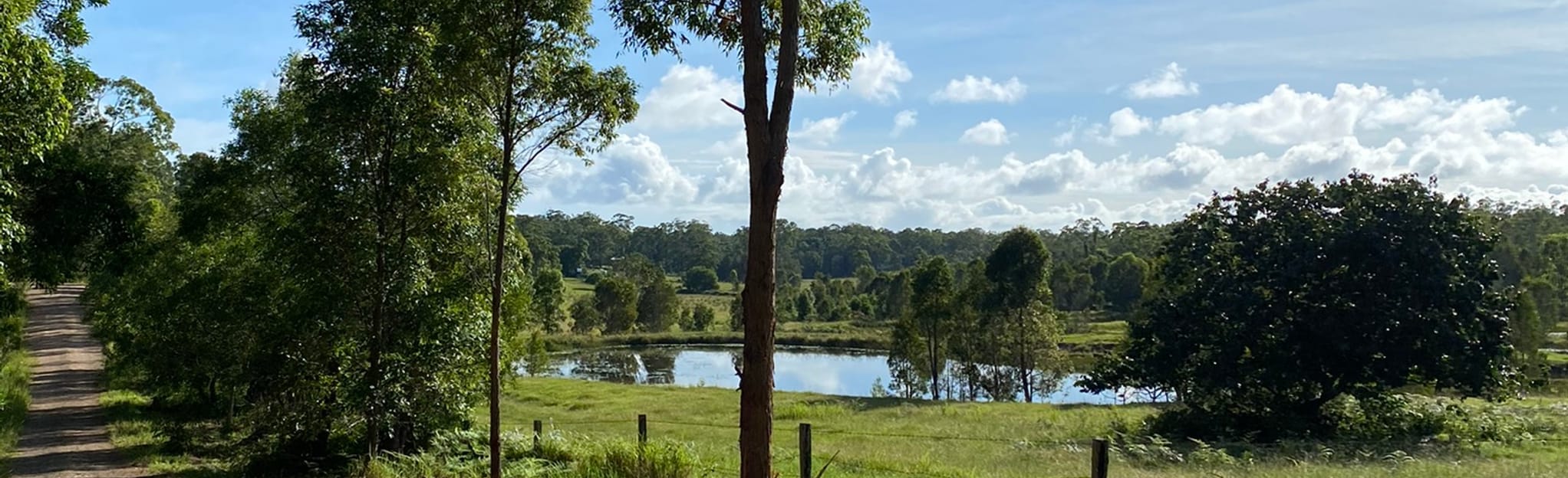 Verrierdale Rise Nature Refuge Walk - Queensland, Australia | AllTrails