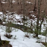 Hogback Mountain via Charcoal Trail, Pennsylvania - 37 Reviews, Map ...