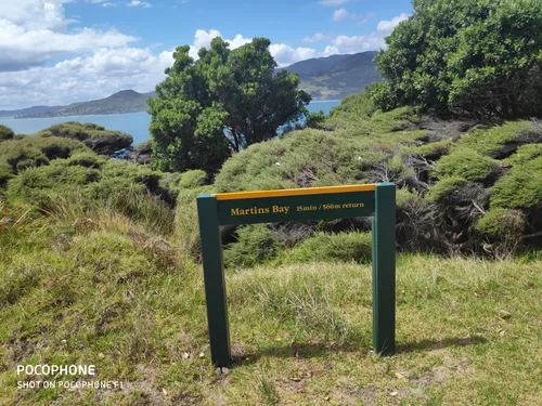 Best Beach Trails in Kaikohe | AllTrails