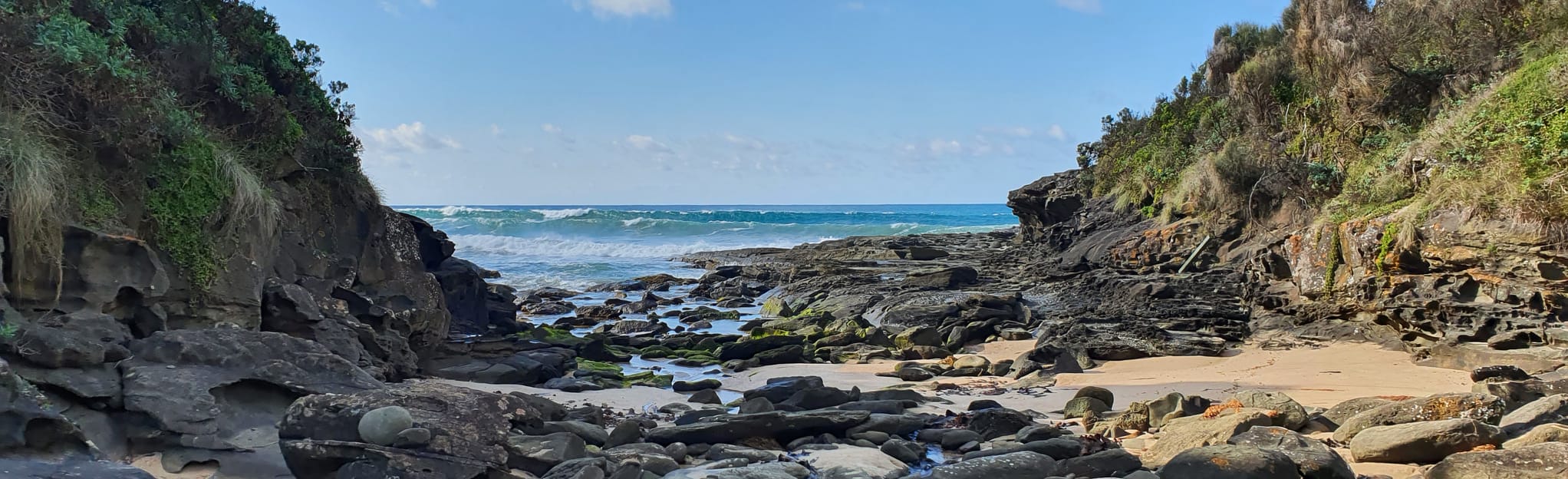 Elliot River Loop Walk, Victoria, Australia - 104 Reviews, Map | AllTrails