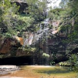 Numantia Falls, New South Wales, Australia - 105 Reviews, Map | AllTrails