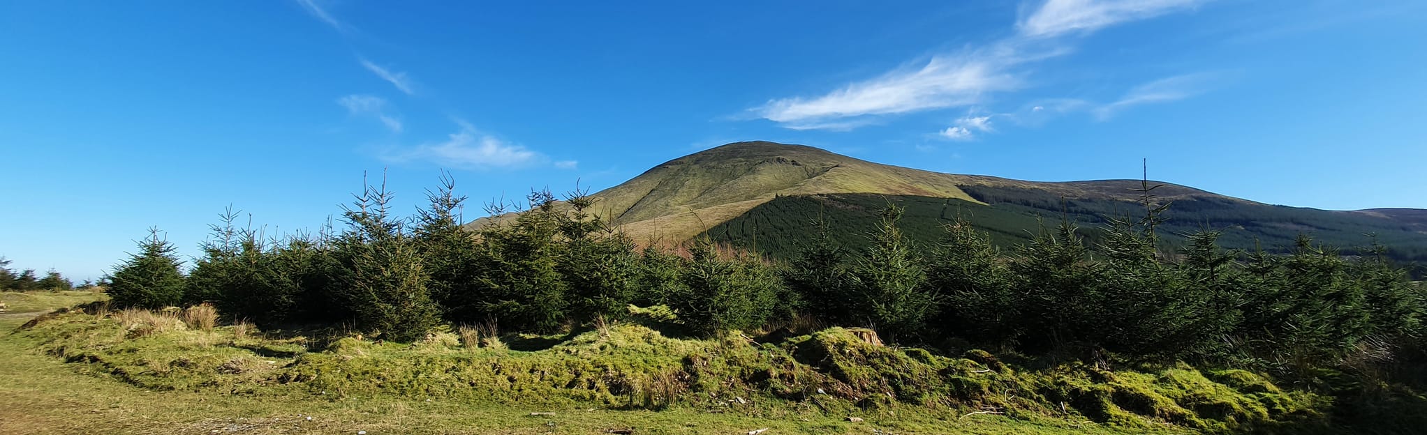 Paradise Hill Extended Loop, County Limerick, Ireland - 73 Reviews, Map ...