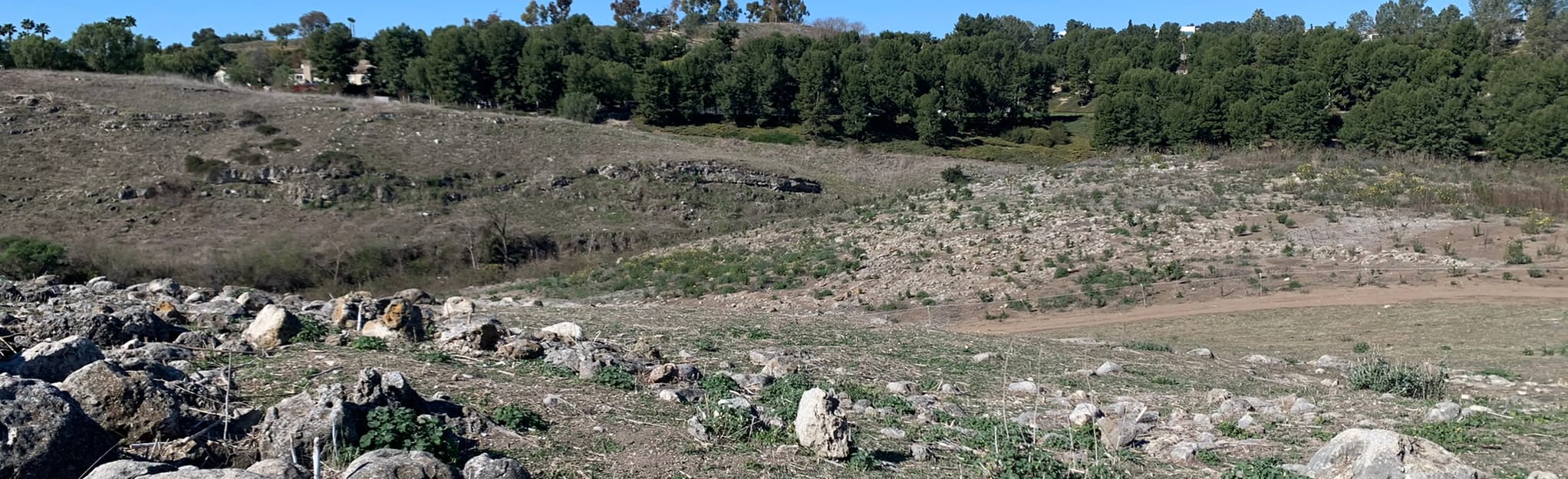 Pectin Reef and Aliso Creek Loop, California - 335 Reviews, Map | AllTrails