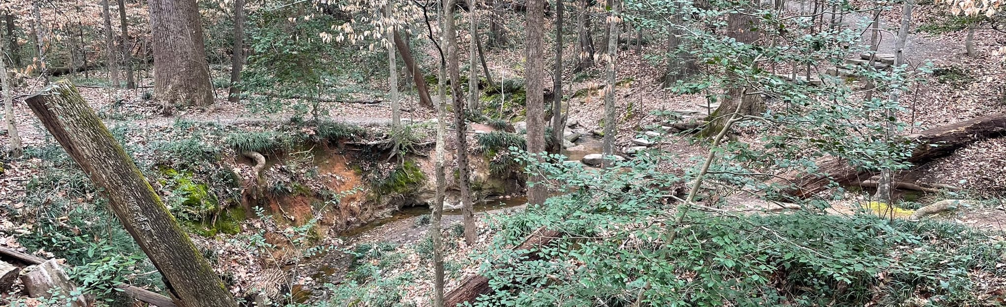 Deepdene Park Paths - Georgia | AllTrails