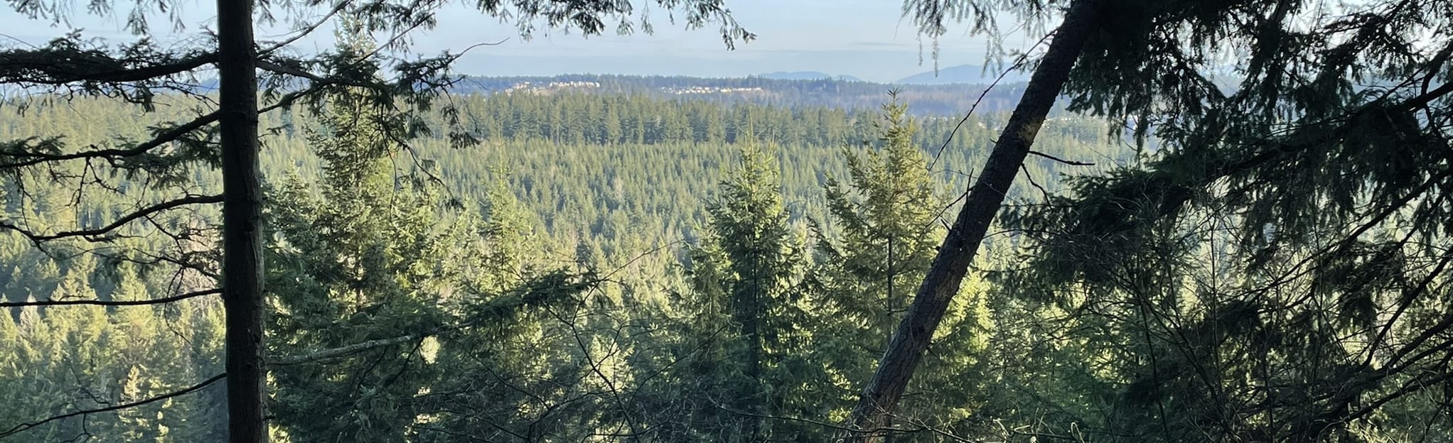 Overlook Loop, Washington - 179 Reviews, Map | AllTrails