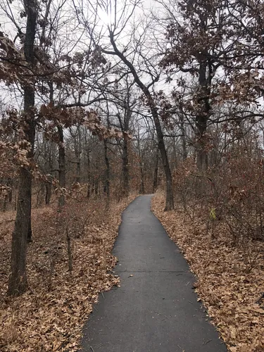 Best Hikes and Trails in Keystone Ancient Forest | AllTrails