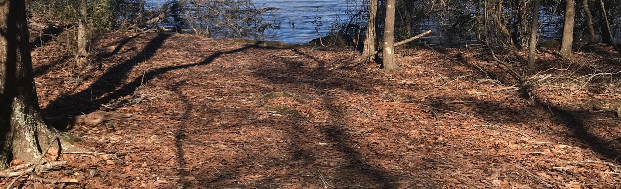 Beeswax Large Mouth Loop, Alabama - 62 Reviews, Map | AllTrails