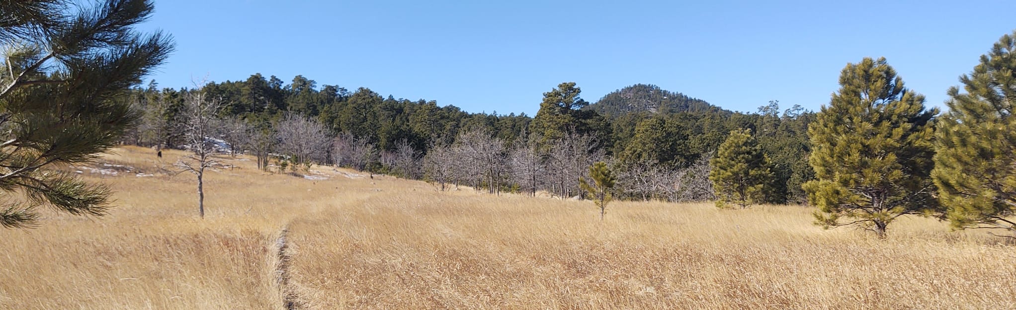 Spokane Creek Cabin and American Flag Trail Loop: 43 Reviews, Map ...