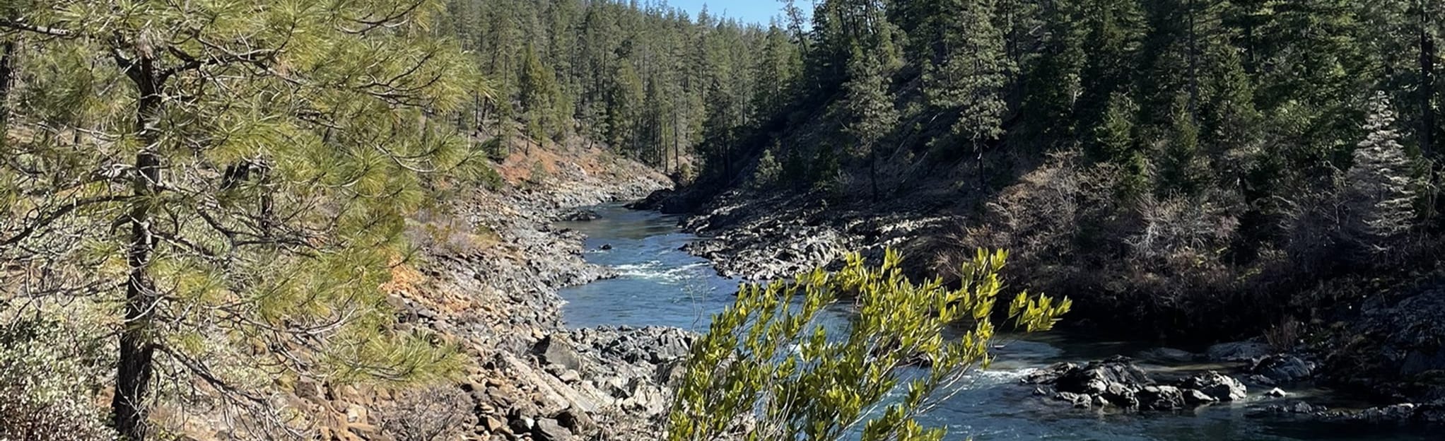 Jeffrey Pine Loop to Little Falls Loop, Oregon - 251 Reviews, Map ...