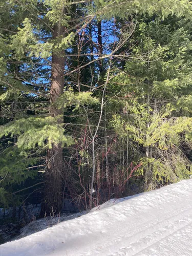 Best Hikes and Trails in Fort Okanogan State Park | AllTrails