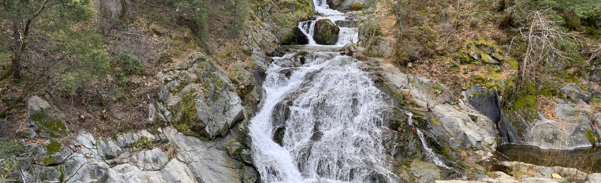 Crystal Creek Falls, California - 327 Reviews, Map | AllTrails
