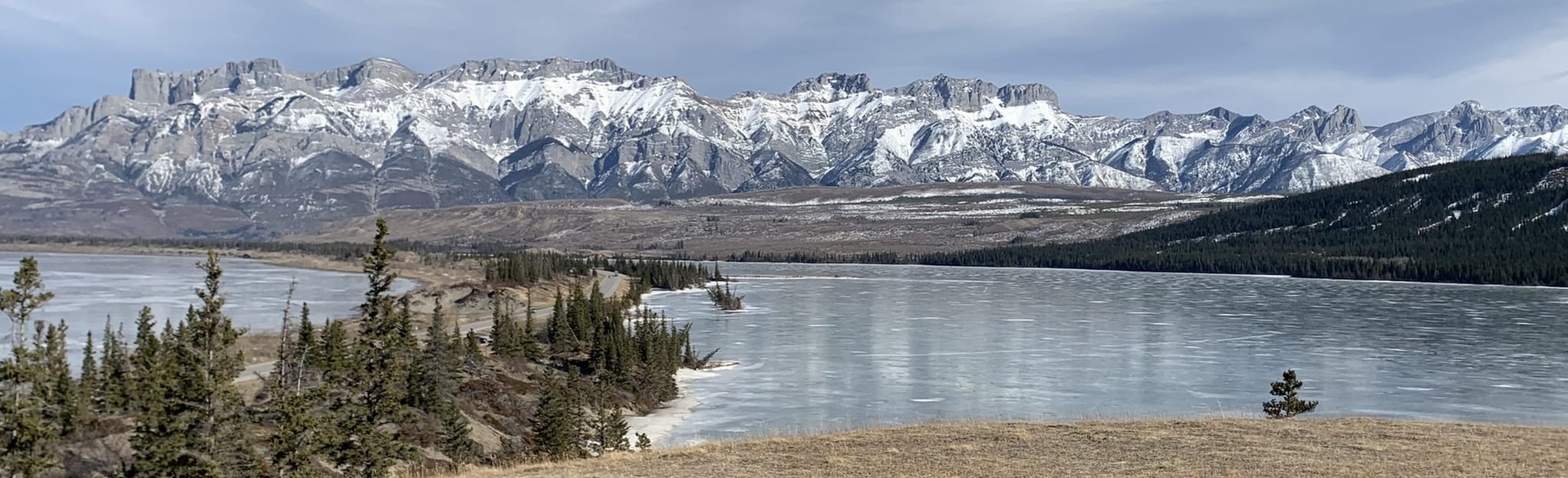 Talbot Lake Viewpoint - Alberta, Canada | AllTrails