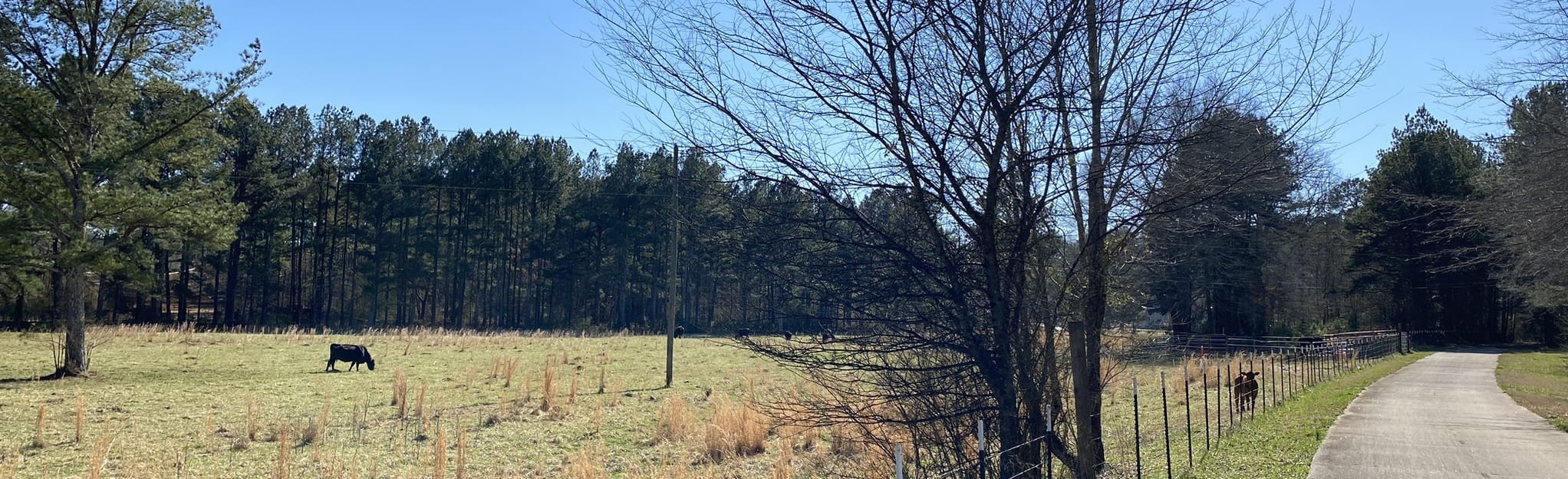 Silver Comet Trail: Train Depot - State Line - Georgia | AllTrails