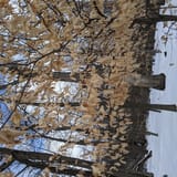 Turtle Back Rock Interpretive Trail, New Jersey - 129 Reviews, Map ...