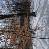 Turtle Back Rock Interpretive Trail, New Jersey - 129 Reviews, Map ...