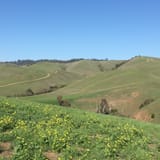 High Ridge and Pioneer Trail Loop, California - 256 Reviews, Map ...