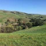 High Ridge and Pioneer Trail Loop, California - 256 Reviews, Map ...