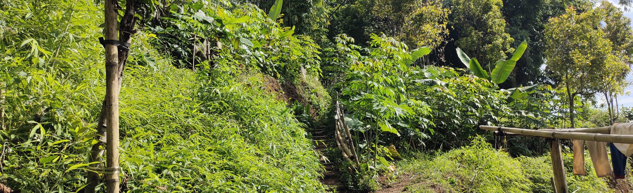 Gunung Singa, West Java, Indonesia - 4 Reviews, Map | AllTrails