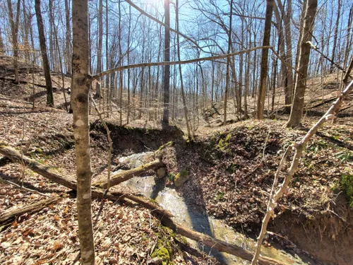 Best Hikes and Trails in Ravinia State Forest | AllTrails