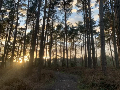 Best Hikes and Trails in Tilgate Park | AllTrails