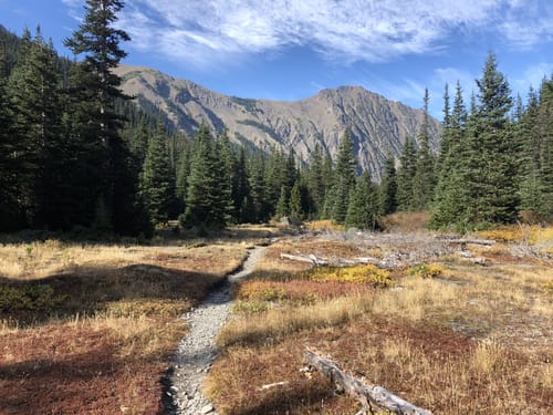 2023 Best 10 Trails and Hikes in Sequim | AllTrails