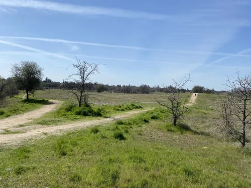 10 Best Trails and Hikes in Roseville | AllTrails