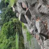Kedron Brook Track, Queensland, Australia - 86 Reviews, Map | AllTrails