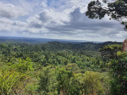 10 Best Easy Trails in Waitakere Ranges Regional Park | AllTrails