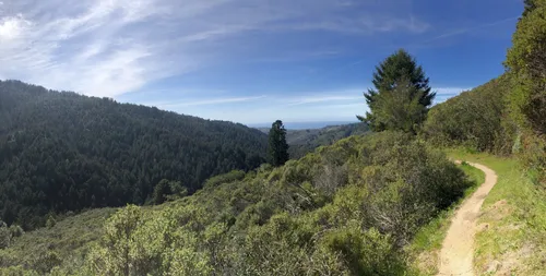 10 Best Hikes and Trails in Purisima Creek Redwoods Open Space Preserve ...