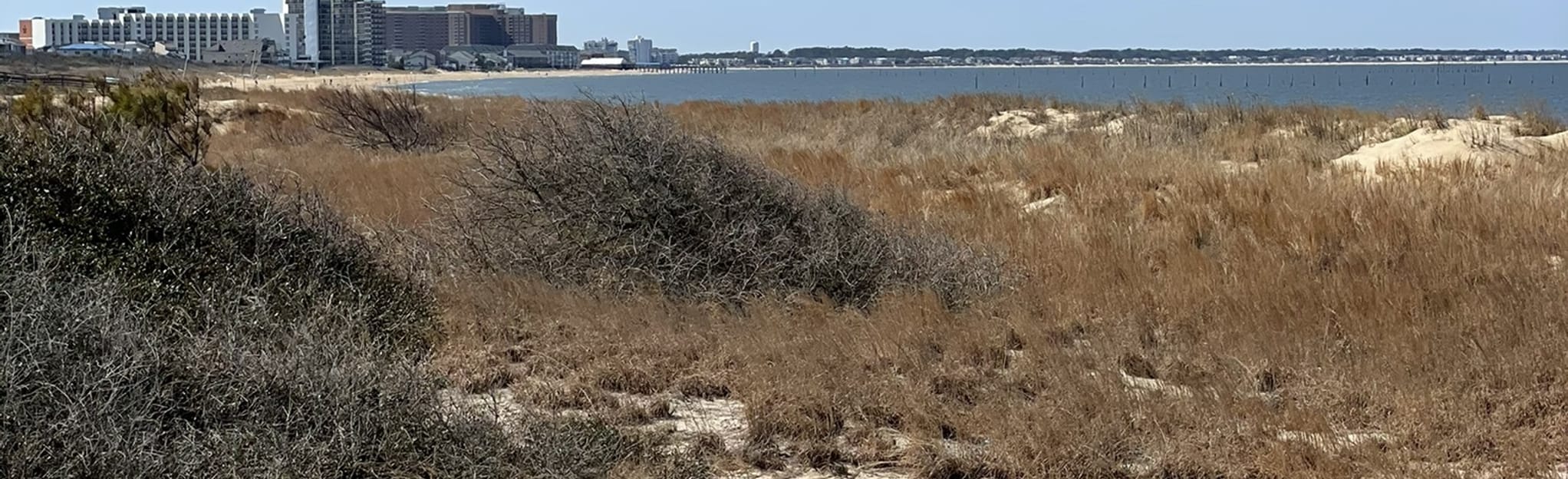 First Landing State Park Beach Boardwalk, Virginia - 50 Reviews, Map ...