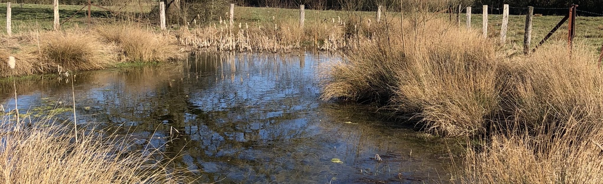 Auto-Pédestre Bascharage, Capellen, Luxembourg - 14 Reviews, Map ...