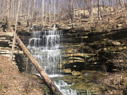 10 Best Trails and Hikes in Sewanee | AllTrails