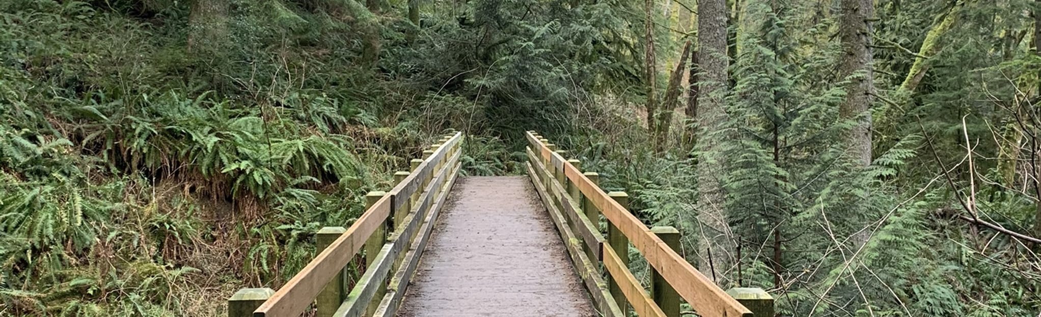 West Tiger #1 Loop: 98 Reviews, Map - Washington | AllTrails