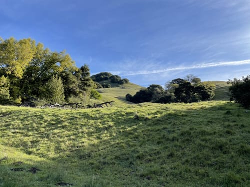 Best Hikes and Trails in Mount Burdell Open Space Preserve | AllTrails