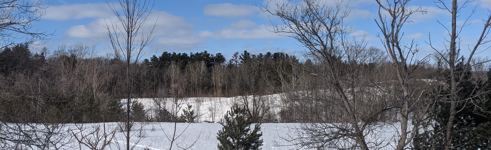 Lackie’s Bush Loop, Ontario, Canada - 47 Reviews, Map | AllTrails