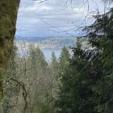 Big Tree Ridge Trail: Short Version, Washington - 295 Reviews, Map ...