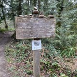 Big Tree Ridge Trail: Short Version, Washington - 295 Reviews, Map ...