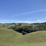 Black Phoebe Trail, California - 40 Reviews, Map | AllTrails