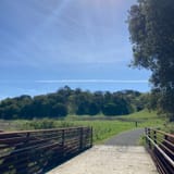 Black Phoebe Trail, California - 40 Reviews, Map | AllTrails