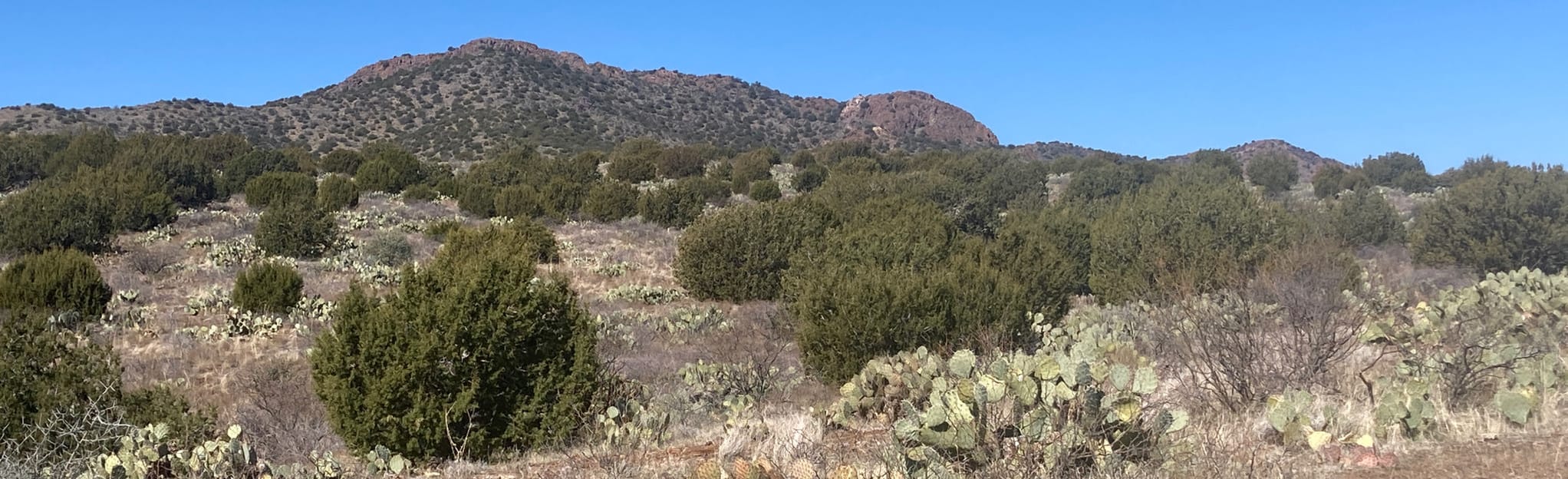 Copper Mountain Loop - Arizona | AllTrails