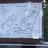 Big Tree Loop, Washington - 48 Reviews, Map | AllTrails